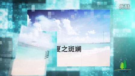 林海情深——日照海滨国家森林公园宣传片