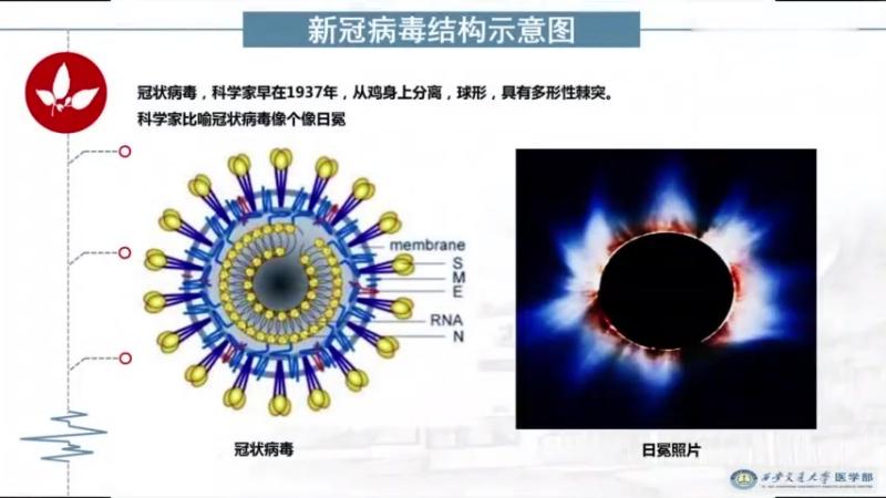 「西安交大防疫公开课」李生斌:新冠致病基因变异与单倍型分析