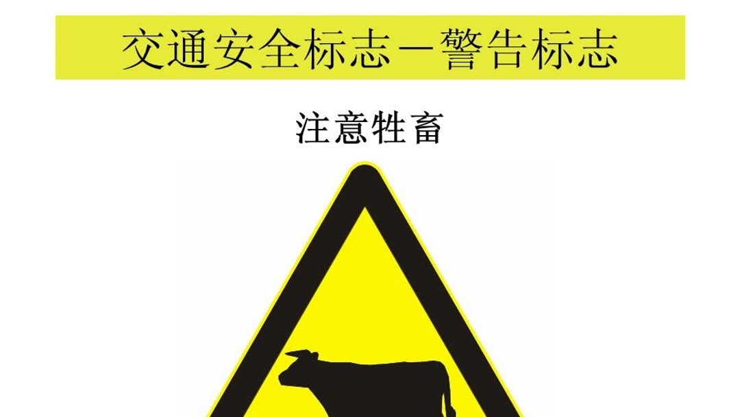 交通安全标志-警告标志.wmv