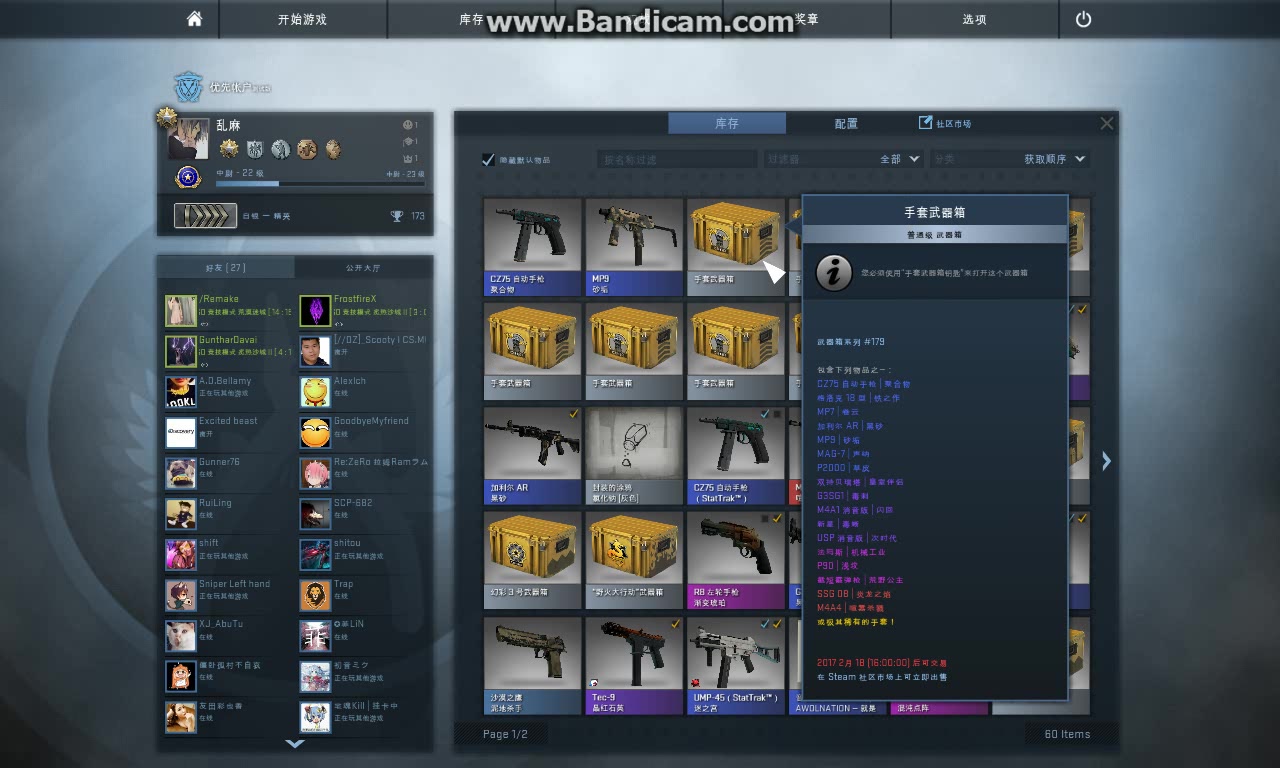 csgo 一天一个箱子 .3