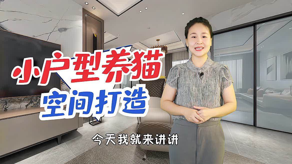 小户型如何装修养猫户型？铲屎官们快来学习