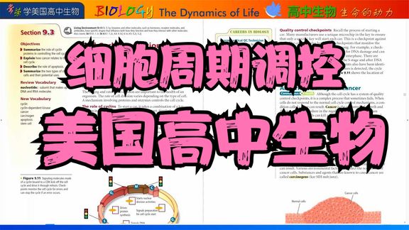 2细胞 细胞增殖 3 细胞周期调控 常荣学美国高中生物课 Biology