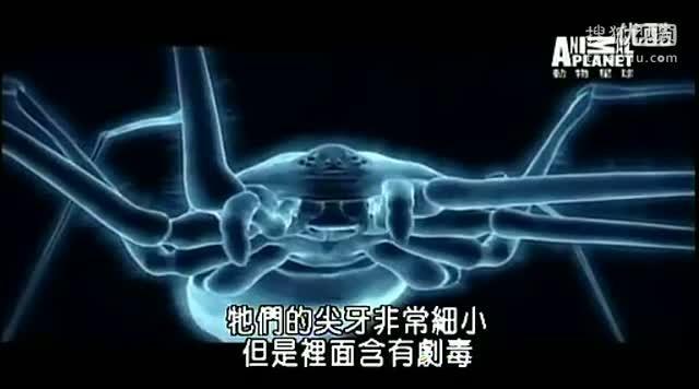 麦格IPTV电视机顶盒节目表效果演示