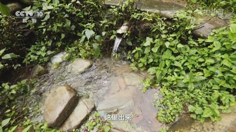 [地理·中国]流浪河的水源补给主要源于森林植被涵养和山体中存储的...