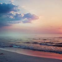 大鱼用户1551011864092591 