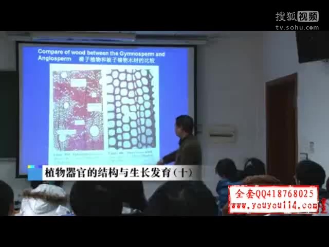 169植物学及实验 浙江大学 第15集 植物器官的结构与生长发育(十)