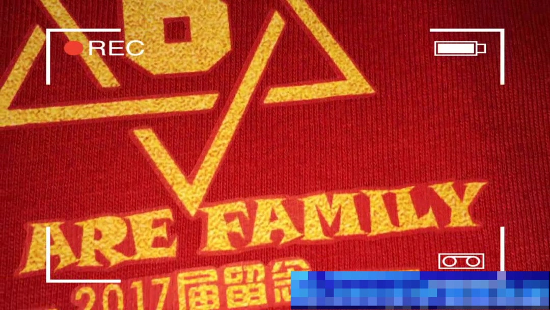 仿烫金彩喷LOGO(撕名牌班服 纯棉T恤)