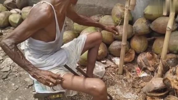 看看印度阿叔剥椰子,买不起机器,只能手工剥,看着真辛苦!