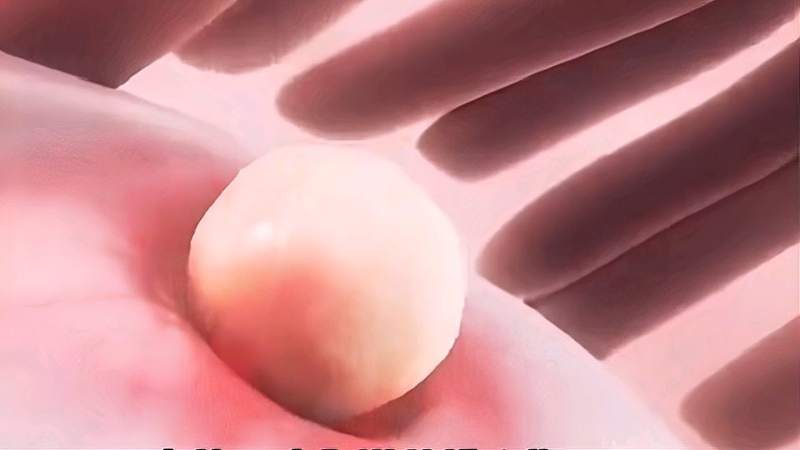 如何测排卵期?4个方法教会想要怀宝宝的你,成功升级准妈妈