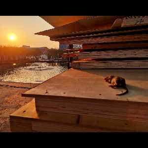 网恋倒贴十块钱 