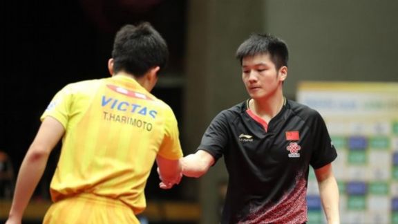 教练视角观看张本智和VS樊振东!樊振东是真的稳!实力不可否认