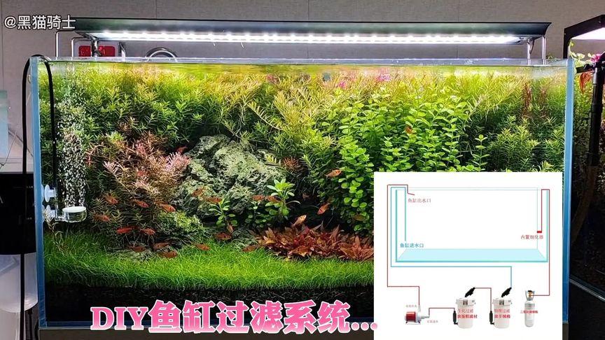 DIY鱼缸强大的过滤系统,40-60缸都可以用这个方案#水草缸造景