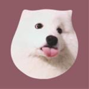 华星儿童玩 