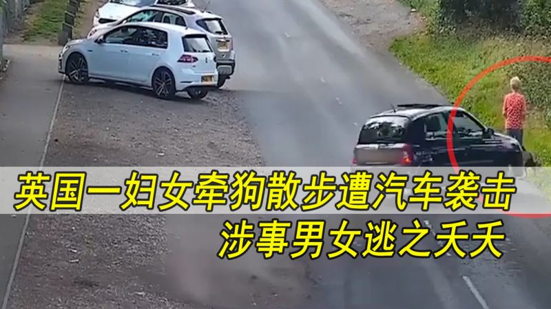 英国一妇女散步时遭一辆汽车撞击被推入灌木丛中,视频录下全过程