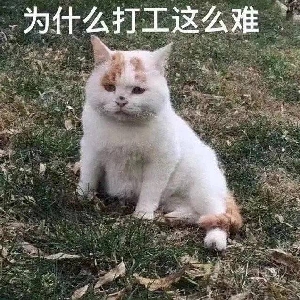都让人选完了 