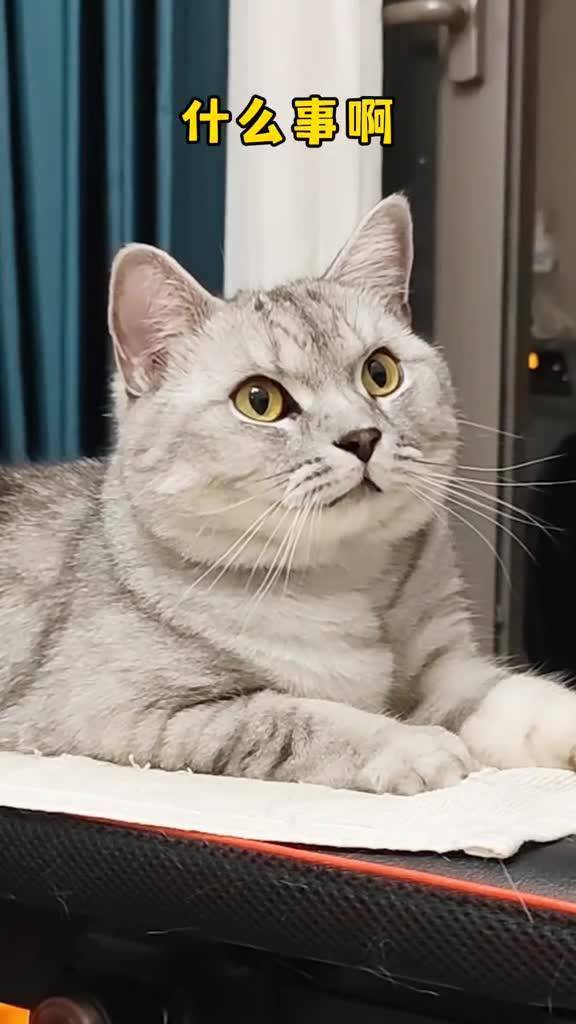 瓜总人力成本这么低,我还不如当资本家呢