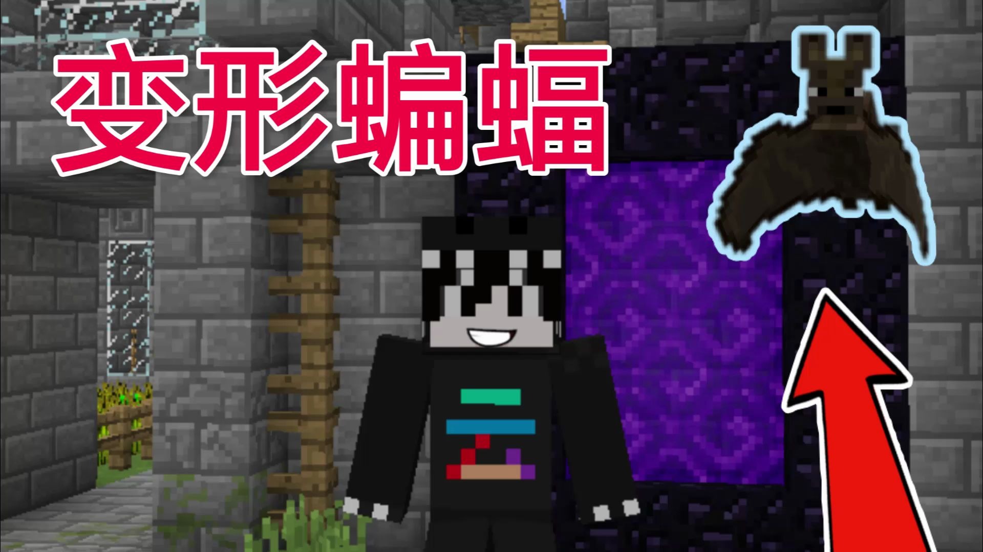 我的世界变形生存4:在我的世界里变成蝙蝠会怎么样?