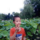 Hongxia luo 