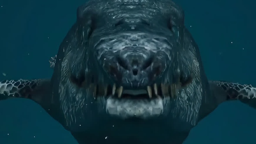 巨齿鲨到底有多强一定要看到最后