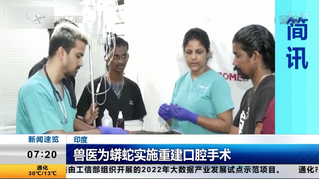 兽医为蟒蛇实施重建口腔手术