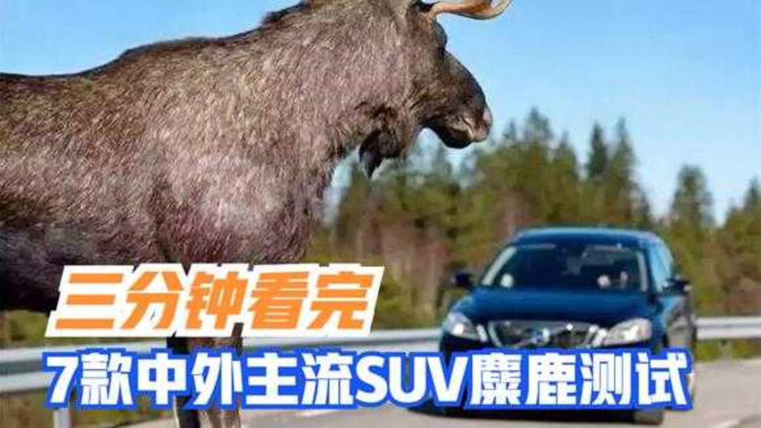 三分钟看完 7款中外主流SUV麋鹿测试
