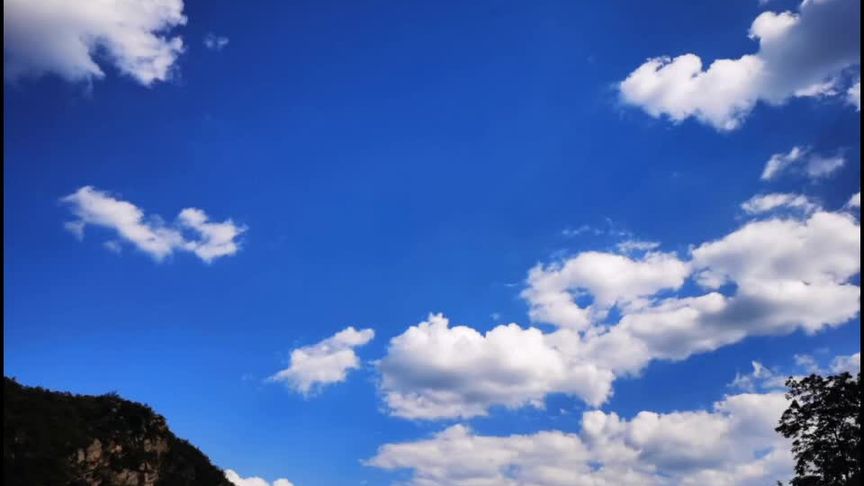 陪大家早餐打卡的视频一直在审核中