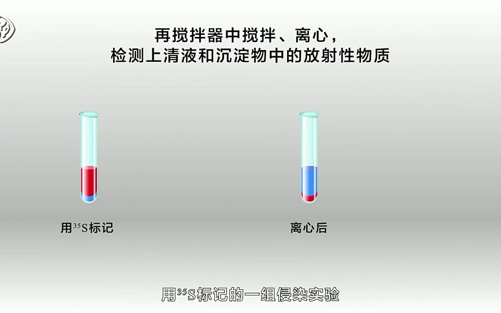 一轮复习-高三生物-课本实验-噬菌体侵染大肠杆菌实验-杜老师生物讲堂