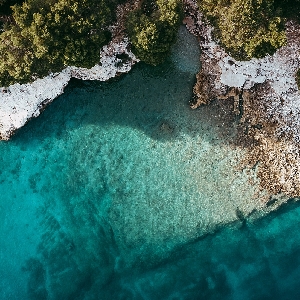不吃香菜的淘淘 