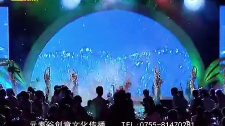 元素谷创意文化传播之吉庆有余(活动策划、舞美)