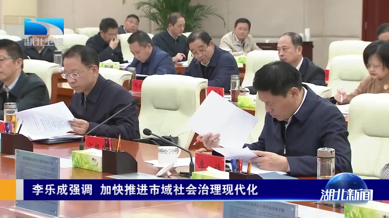 李乐成强调 加快推进市域社会治理现代化