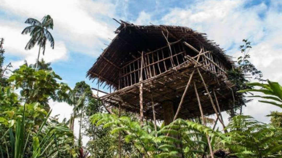 世界上罕见的“奇葩部落”,至今住在树上,外来人不敢靠近!