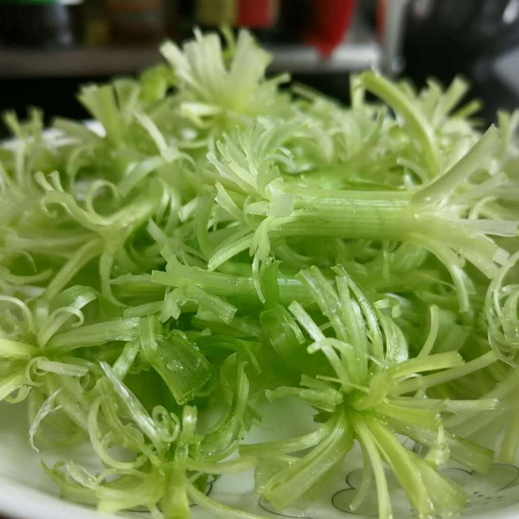 小陈厨房记 
