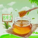 野生山蜂蜜 