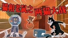 猫和老鼠:汤姆为了心上猫和黑猫展开了斗争,竟然让杰瑞捷足先登