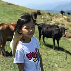 地王大厦里的农民工 