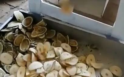 中药材切片机 多功能家用小型中药削片机 鸡血藤切段机