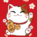 温婉的喵小懒 