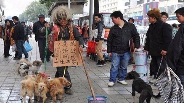 70岁老汉带一群流浪狗在街头乞讨,路人纷纷围观献爱心!