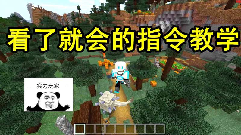 我的世界:游戏里最重要的指令,包教包会,哪里都能去!