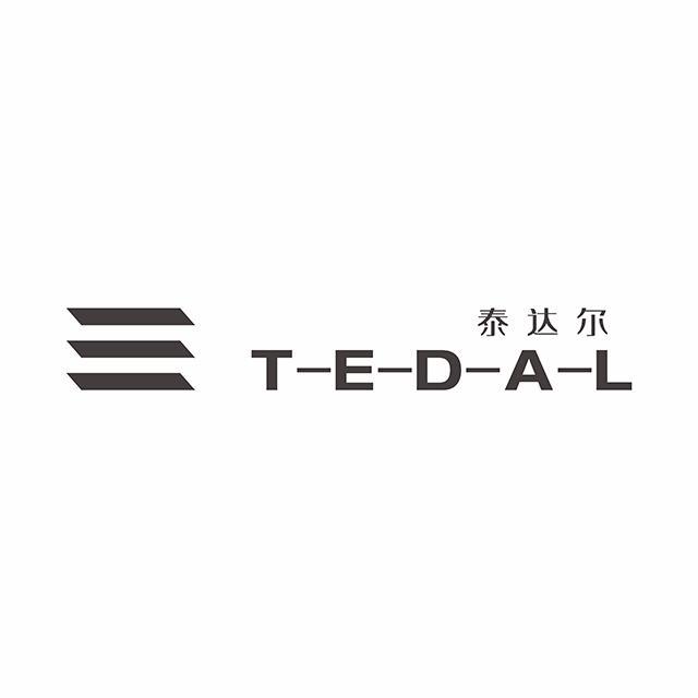 TEDAL泰达尔智能影音 
