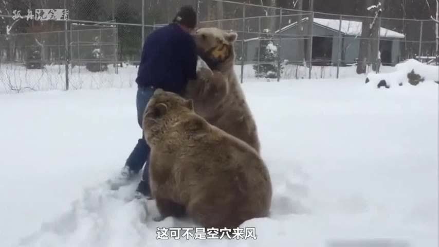 俄罗斯人和熊打架视频