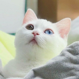 永远不灭的火焰 