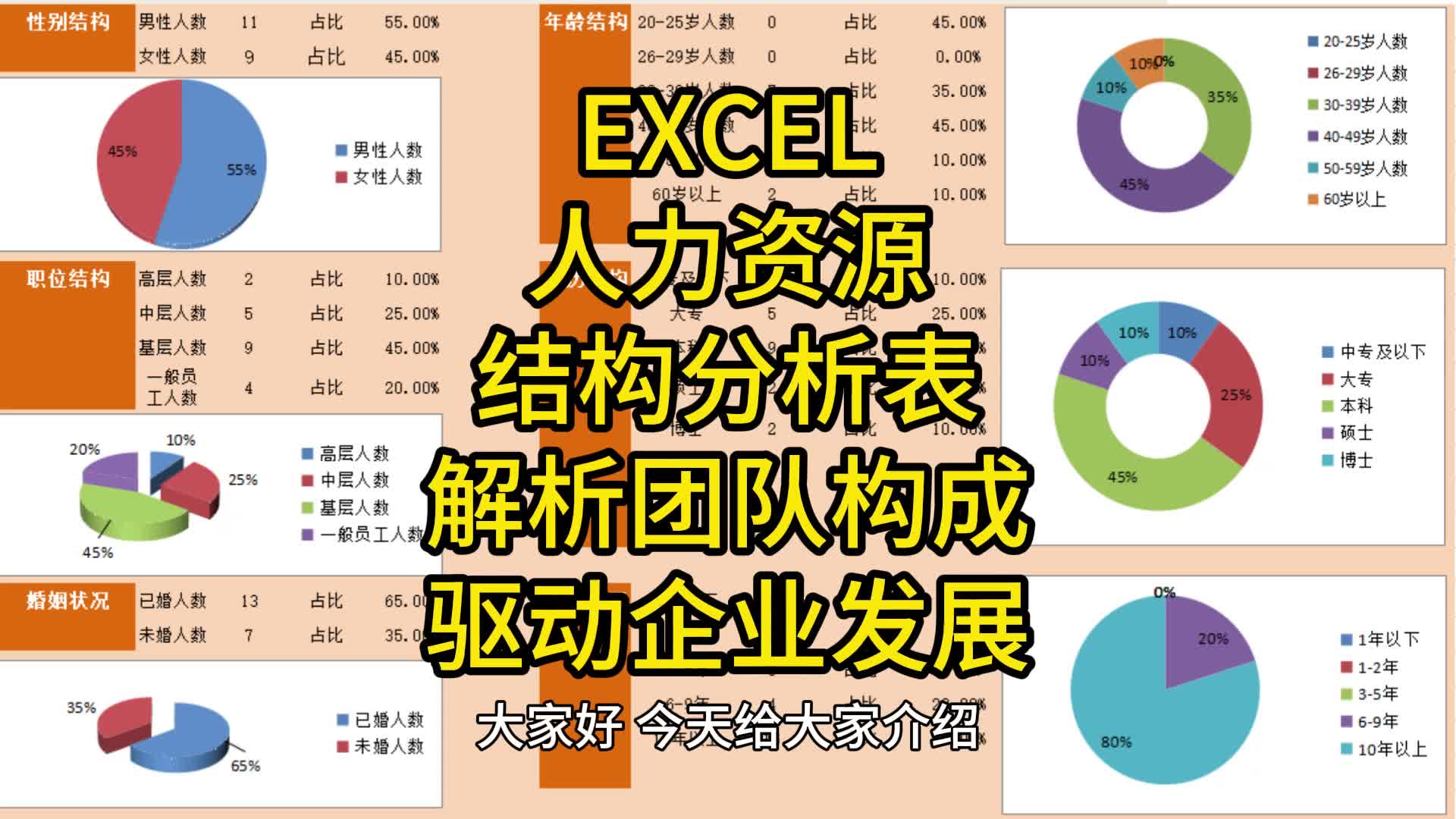 EXCEL人力资源结构分析表:解析团队构成,驱动企业发展