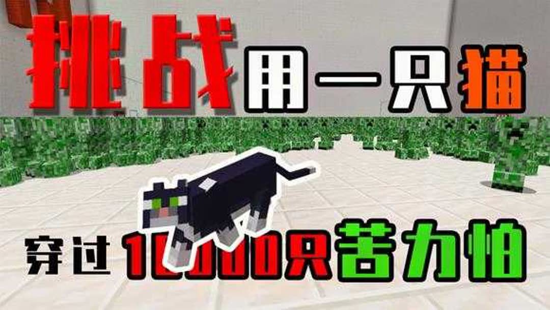 我的世界:挑战用一只猫穿过1000只苦力怕!