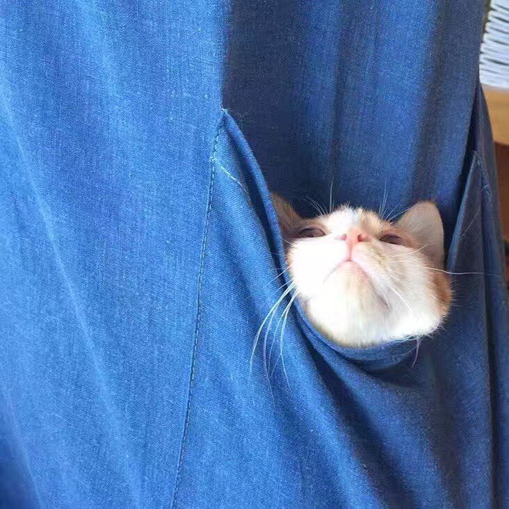 suminzz1482301091032114 