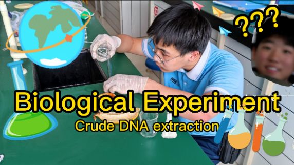 DNA粗提取生物实验(瞎剪版)#生物实验 #dna鉴定 #一起学习