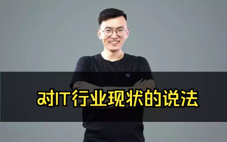 对IT行业现状的说法