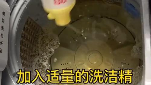 家里的洗衣机太久没清理了,没想到洗出这么多的污垢