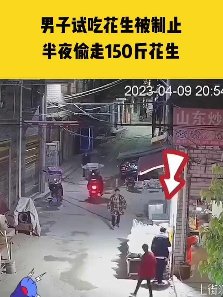 九派新闻消息,近日湖北黄石,男子试吃花生被制止,半夜偷走150斤花生,...