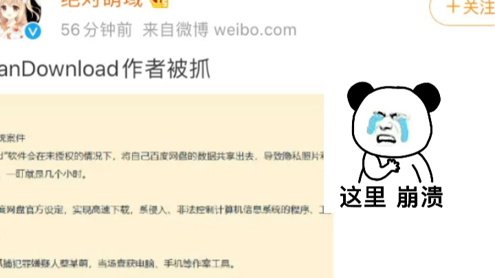 PanDownload作者被抓